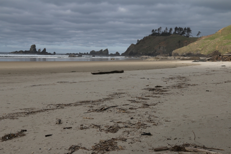 Wrack Line Definition